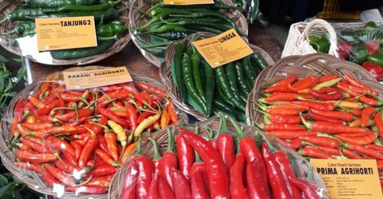 Produksi Cabe dan Bawang Merah Pasca-Lebaran Tetap Aman