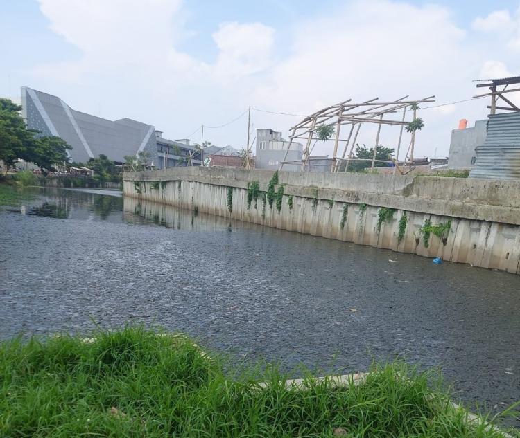 Dampak Pencemaran Sungai Ronggolawe Terhadap Perubahan Iklim