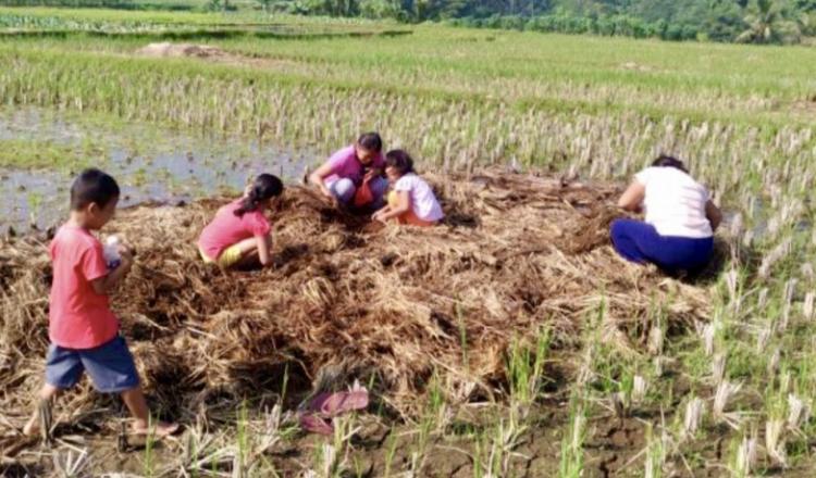 Dari Sampah Menjadi Peluang: Zero Waste Farming Membuka Jalan Menuju ...