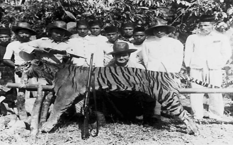 Ketika Inyiak Balang Meradang dan Mitos Seputarnya