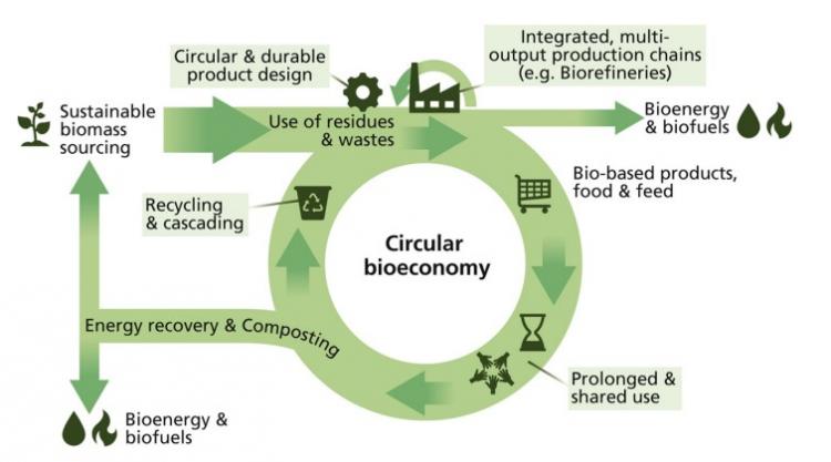 Muhammad Nabiil, Mahasiswa Institut Pertanian Bogor Multiusaha Kehutanan Bio-Based Circular ...
