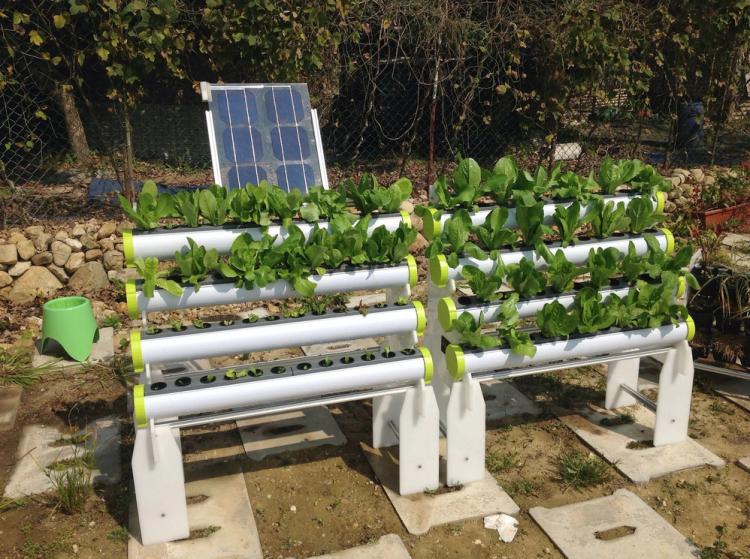 Pemanfaatan Sistem Solar Hidroponik sebagai Implementasi SDGs Dan ...