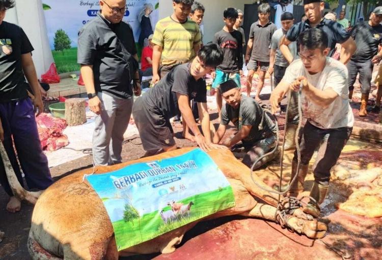 Perkuat Tali Kasih, PW Matahari Pagi DKI Jakarta Salurkan Kurban Wakil ...