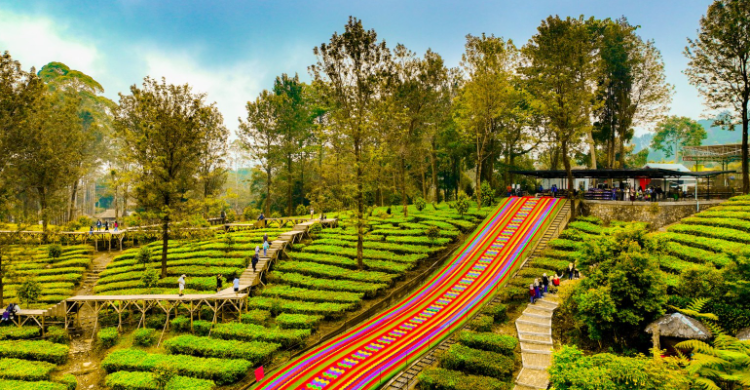 Agrowisata Gunung Mas Bersiap Jadi Destinasi Kelas Dunia