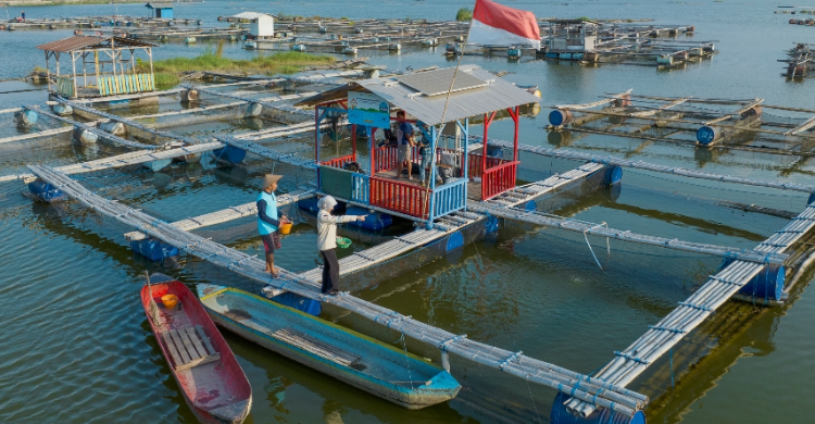 Bantu Sejahterakan Masyarakat, PLN Indonesia Power Diganjar Penghargaan ...