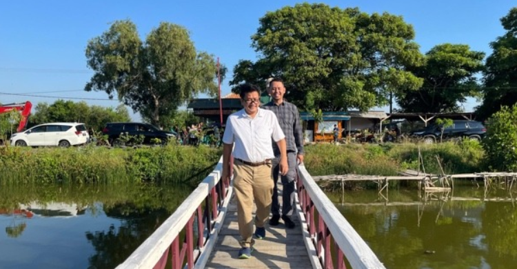 Dukung Budidaya Mangrove, PHE ONWJ Support Pembangunan Jembatan Desa Cemara