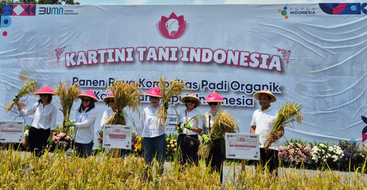 Dukung Ketahanan Pangan, Kartini Tani Pupuk Indonesia Sukses Panen 9 Ton Padi