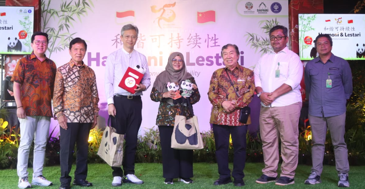 Duta Besar Tiongkok Apresiasi Konservasi Panda di Taman Safari Indonesia