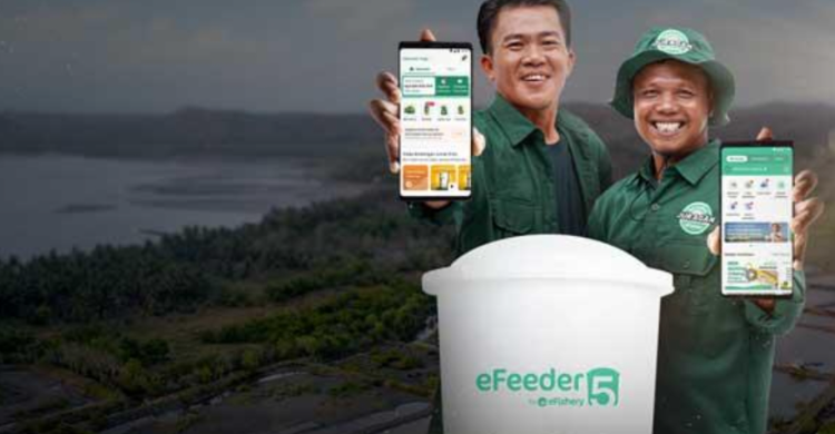 eFishery Berhenti Beroperasi, Karyawan dan Pembudidaya Terdampak