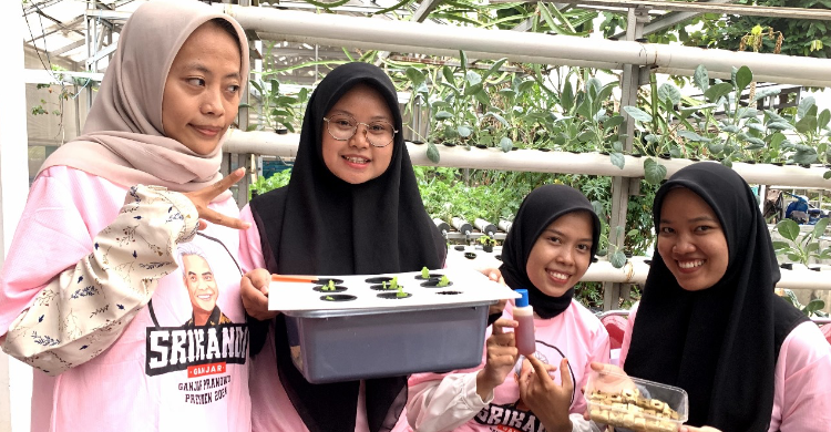 Relawan Srikandi Ganjar Latih Perempuan Milenial Cara Budi Daya Sayur Hidroponik