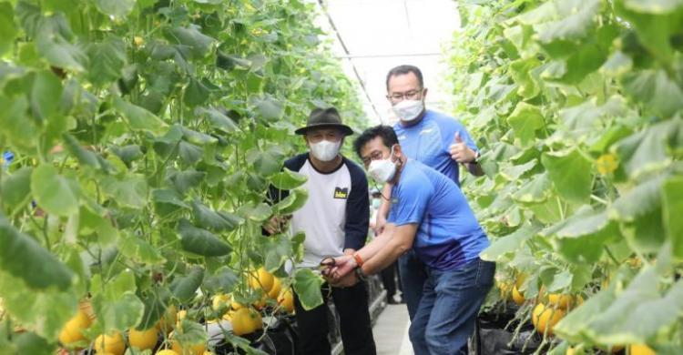 Gandeng IPB, Mentan SYL Dan Menteri Teten Wujudkan Korporatisasi Pertanian