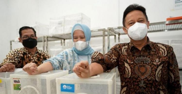 Hasil Penelitian Prof Adi Utarini Inovasi Wolbachia Sukses Turunkan DBD ...