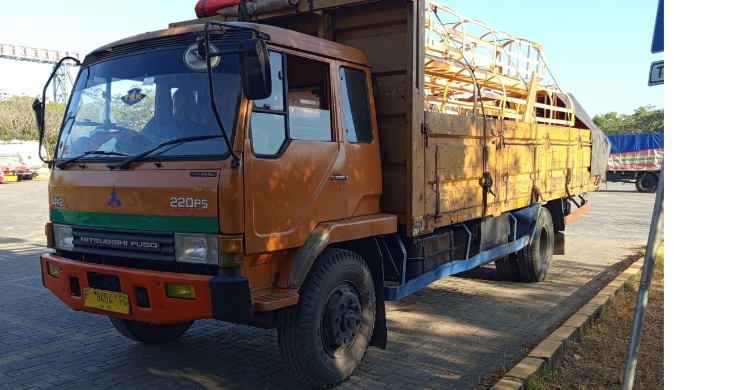 Helo Logistics Sukses Raih Sertifikasi Halal