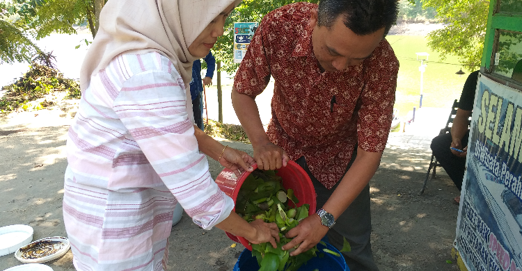 PPK Himsaka Undip Sulap Eceng Gondok Waduk Jatibarang Jadi Eco Enzyme