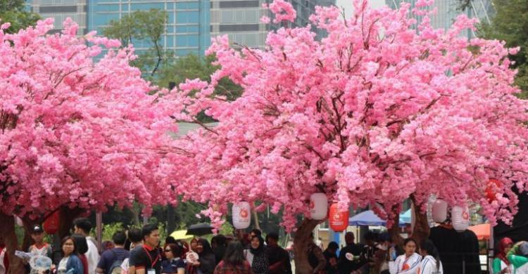 Jak Japan Matsuri 2019 Perkenalkan Shudo dan Penampilan Seni Samurai di GBK