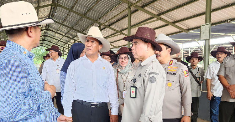 Mentan Pastikan Keamanan Dan Ketersediaan Hewan Kurban