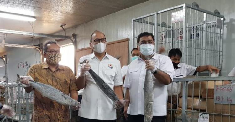 Kadin Optimis Kinerja Sektor Perikanan dan Kelautan Membaik