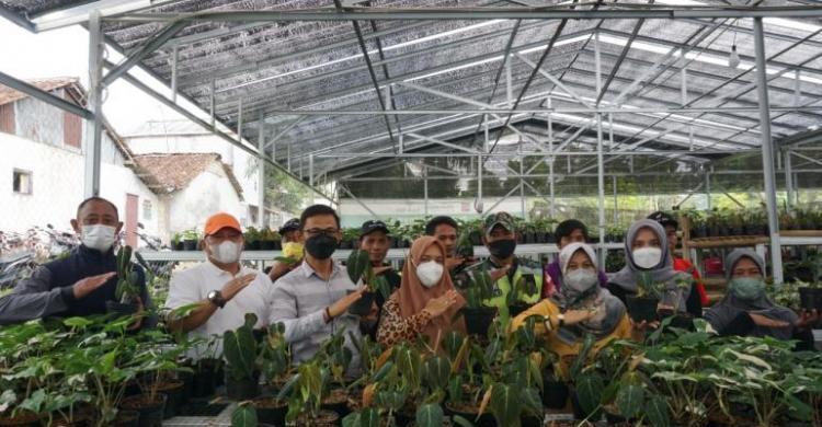 Kementan Dukung Green House Bojongkerta, Cikal Bakal Pemasok Tanaman ...
