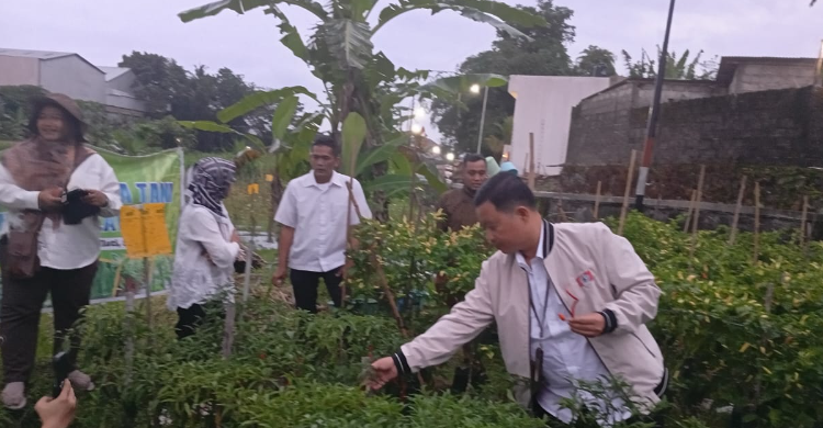 Kementan Tinjau Program P2B Di Kulon Progo Dan Sleman