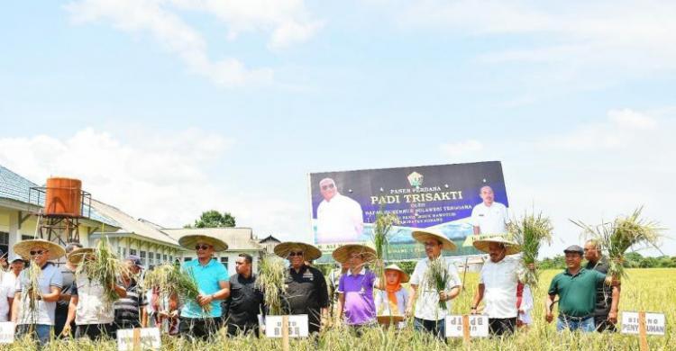 Kolaborasi Petrokimia, Tiphone dan BPTP, Demplot Padi Hasilkan 8 Ton ...