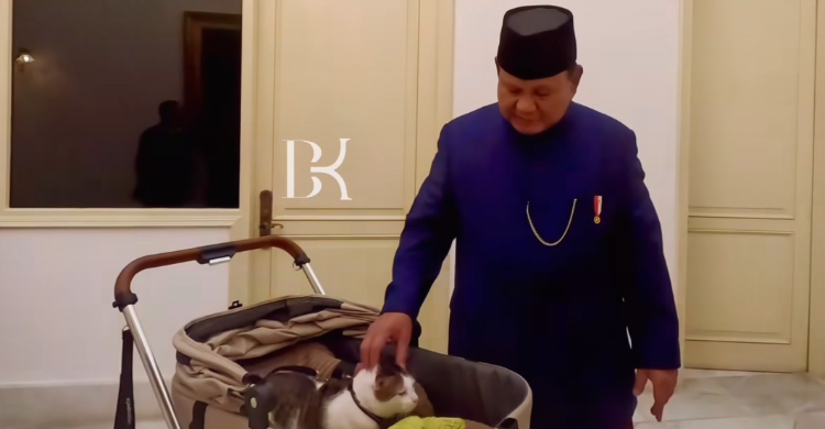 Kucing Kesayangan Jadi Penghuni Istana, Prabowo: Bobby Mau Lihat Kamar?