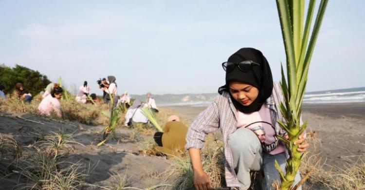 Perempuan Milenial Pendukung Ganjar Tanam Pandan Laut Dan Bersih-Bersih ...