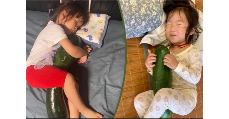 Lawan Panas Ekstrem, Tidur Peluk Labu Air