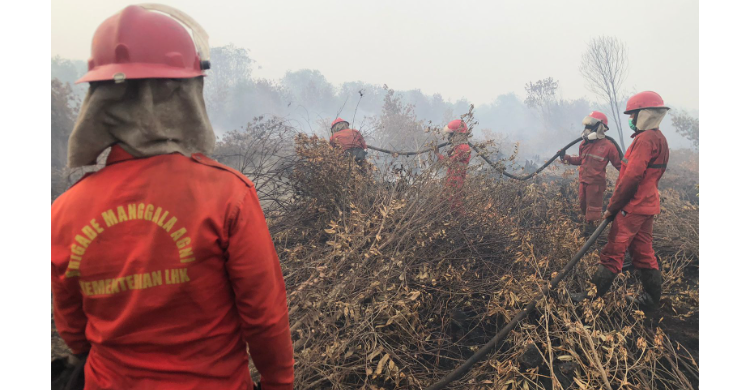 Manggala Agni Berjibaku Padamkan 4 Titik Karhutla di Sumsel