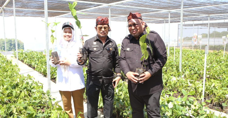 Mentan Launching Nursery Modern Tanaman Perkebunan Di Cianjur