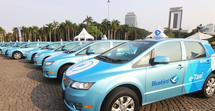 Naik 16 Persen Di Kuartal I 2025, Pendapatan Bluebird Konsisten Tumbuh ...