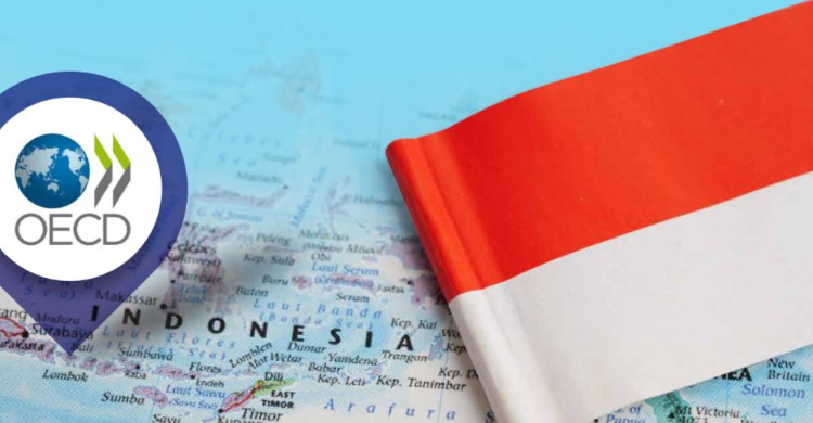 OJK Gencar Kampanyekan Edukasi Keuangan Global Lewat OECD/INFE