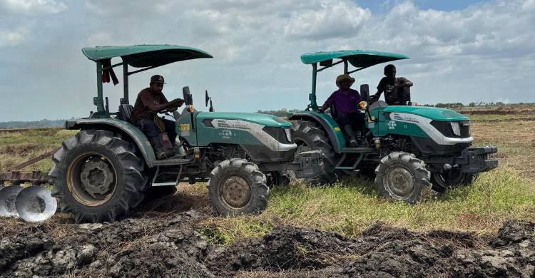 Optimasi Lahan Rawa Di Merauke Berkembang Signifikan