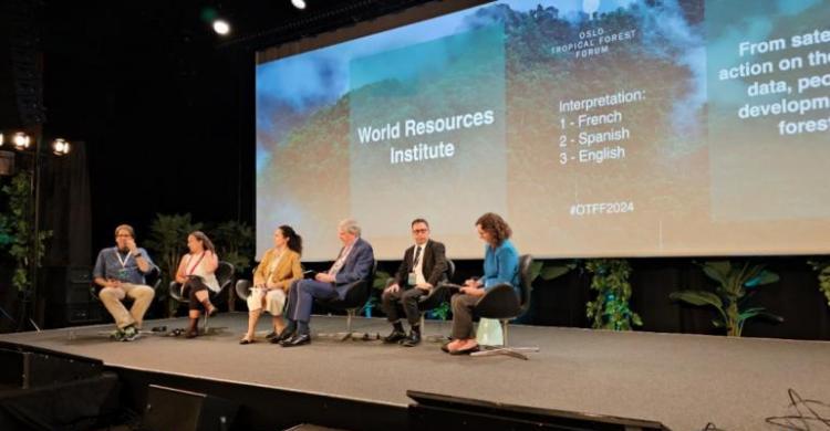 Pakai GeoAI Pantau Karhutla, Gakkum KLHK Dipuji Di Oslo Tropical Forest ...