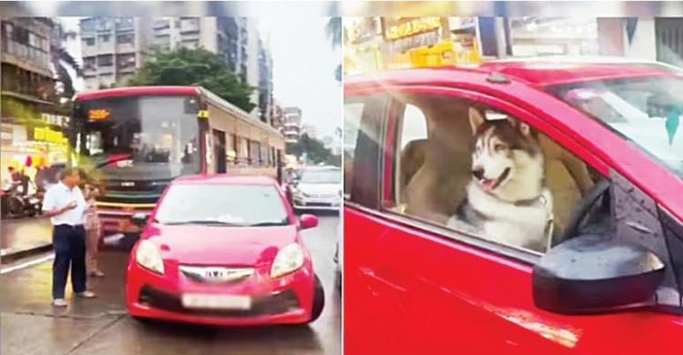 Parkir Di Tengah Jalan, Mobilnya Dijaga Anjing