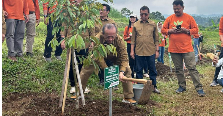 Peringati Hari Rimbawan Ke 41, Sekjen LHK Tanam Durian Di Jombang