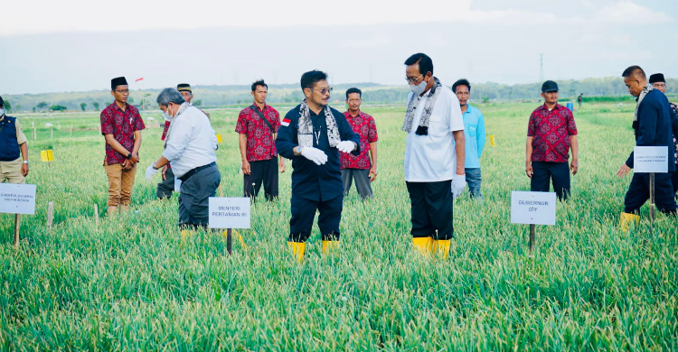 Peringati Hari Tani Mentan Ajak Sri Sultan Kolaborasi Pengembangan ...