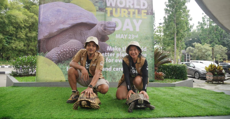 Royal Safari Garden Kenalkan Berbagai Jenis Kura-Kura di Reptile Island