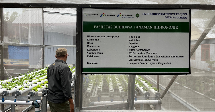 Pertamina Foundation Lestarikan Lingkungan Lewat Program Hutan Lestari