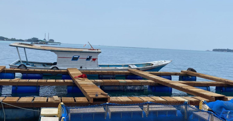 Pertamina Hulu Energi OSES Serahkan Bantuan KJA Ke Kelompok LKM ...