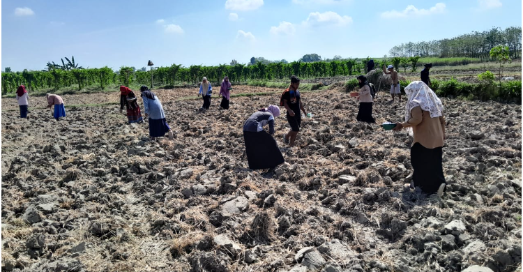 Petrokimia Gresik Pilih 5 Project Pertanian Santri Makmur