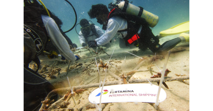 PIS Gelar CSR Tanam 1.000 Terumbu Karang di Ujung Barat Indonesia