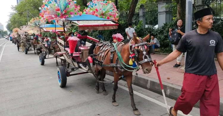 Please, Jangan Diusir Dari Monas Delman Icon Wisata DKI Dan Bantu ...