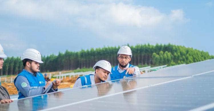 PLTS IKN 50 MW Beroperasi, PLN NP Dukung Swasembada Energi Nasional