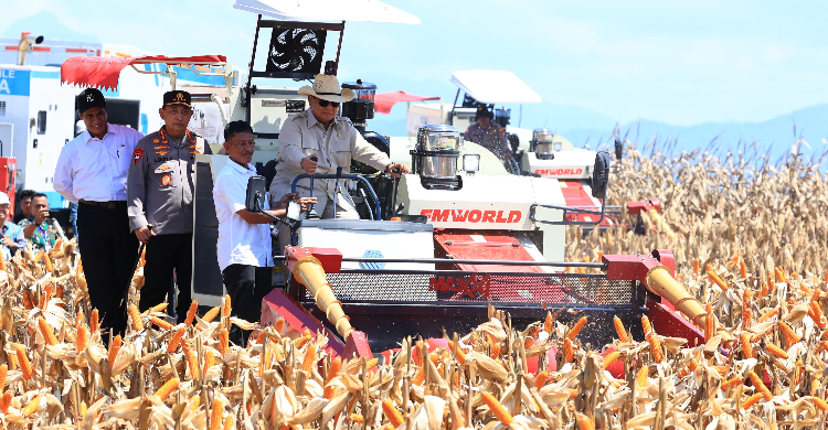 Presiden Prabowo Bahagia Bisa Panen Raya Jagung Bersama Polri