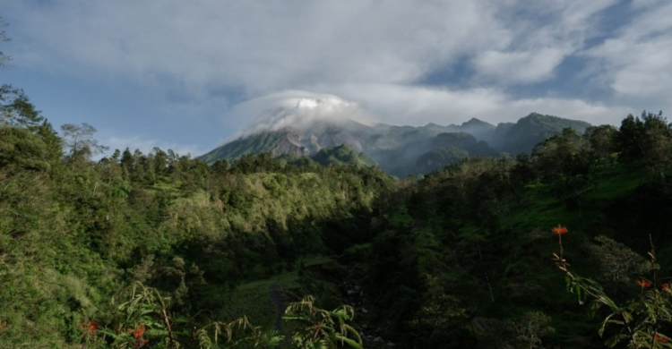 Rayakan Hari Lingkungan Hidup, Avoskin Siap Menggelar Trail Run 2025