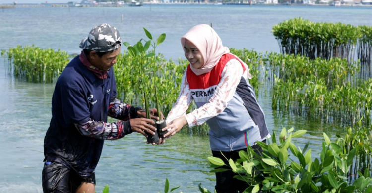 Regional Jawa Subholding Upstream Pertamina Tanam Lebih Dari 100 Ribu Bibit