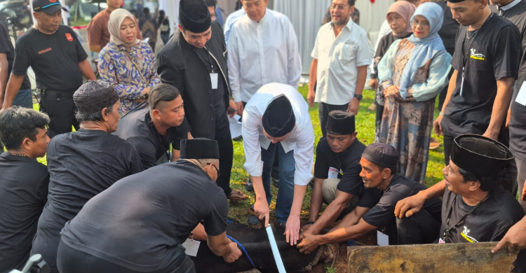 Simbol Keikhlasan Mengabdi, DPD RI Sembelih 8 Ekor Sapi di Idul Adha