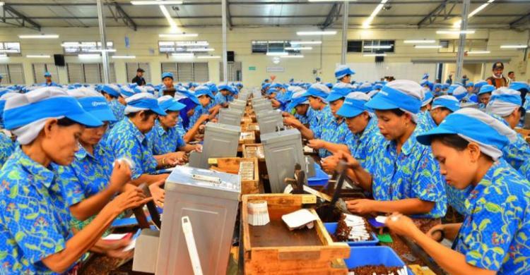 Simplifikasi Cukai Beratkan Industri Rokok Kecil