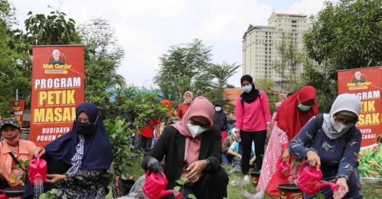 Topang Ekonomi Masyarakat Relawan Mak Ganjar Bagi-bagi Puluhan Ribu Pohon Cabe Di Jakarta
