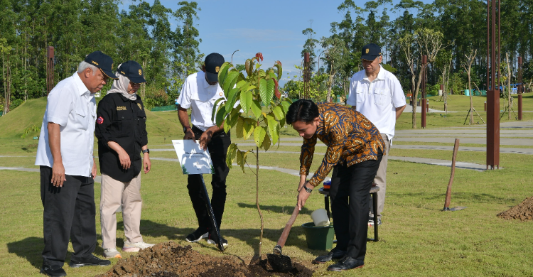 Wapres Tanam Pohon Ulin Di IKN, Simbol Ketangguhan Dan Harapan
